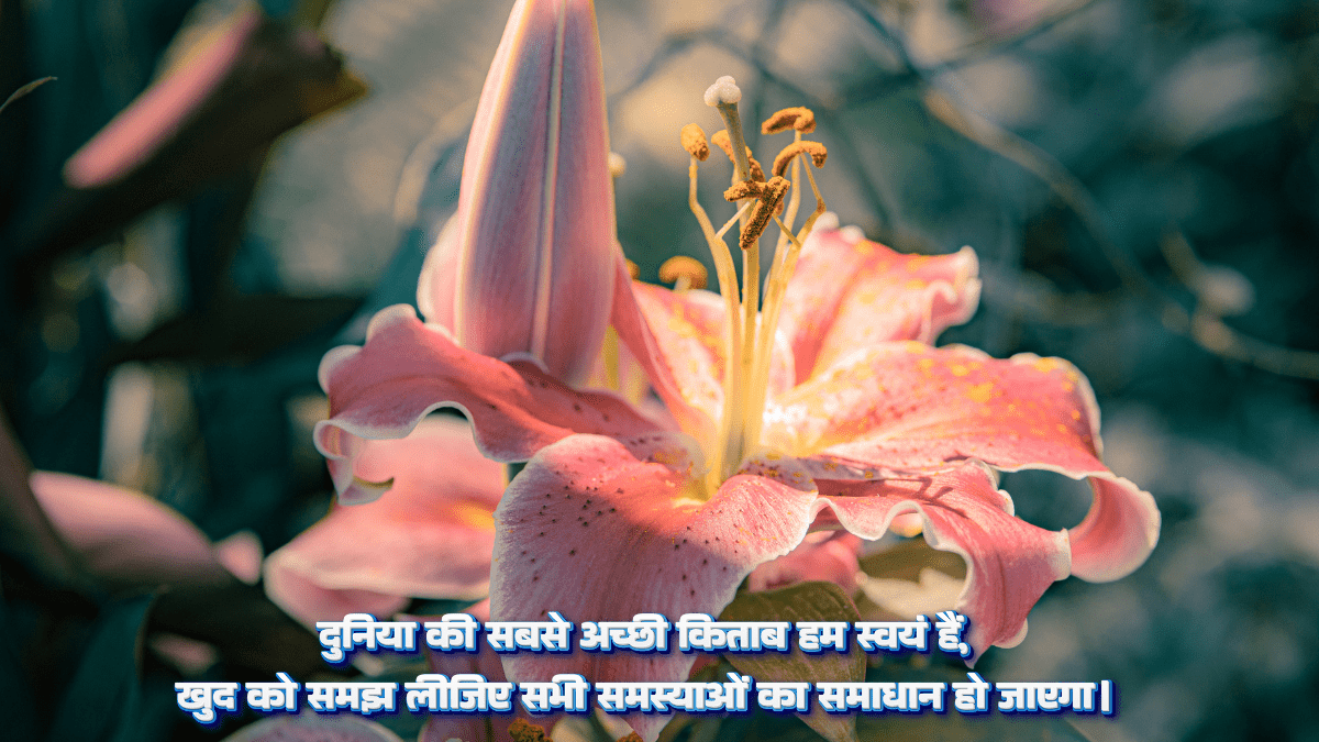 Suvichar Anmol Vachan: हर कदम पर सफलता पाने के बेहतरीन विचार.....